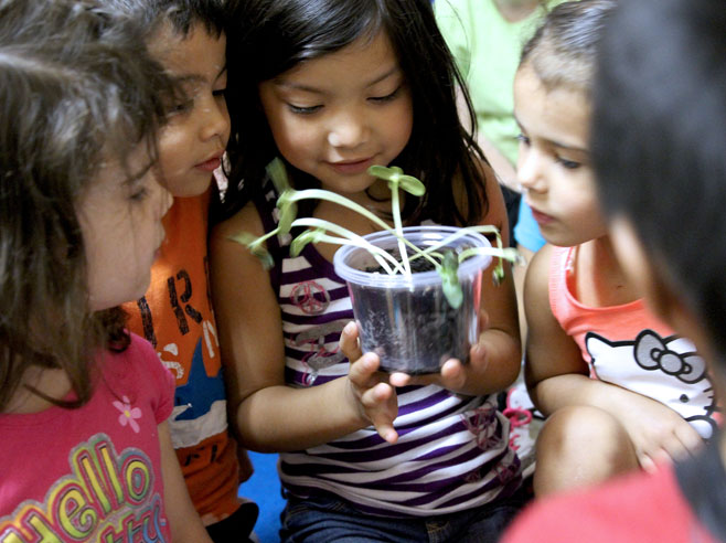 First 8 Studios: Measuring Our Plants