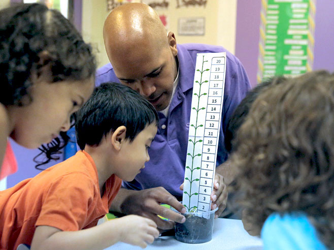 First 8 Studios: Measuring Our Plants