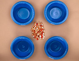 First 8 Studios: Seed Sorting